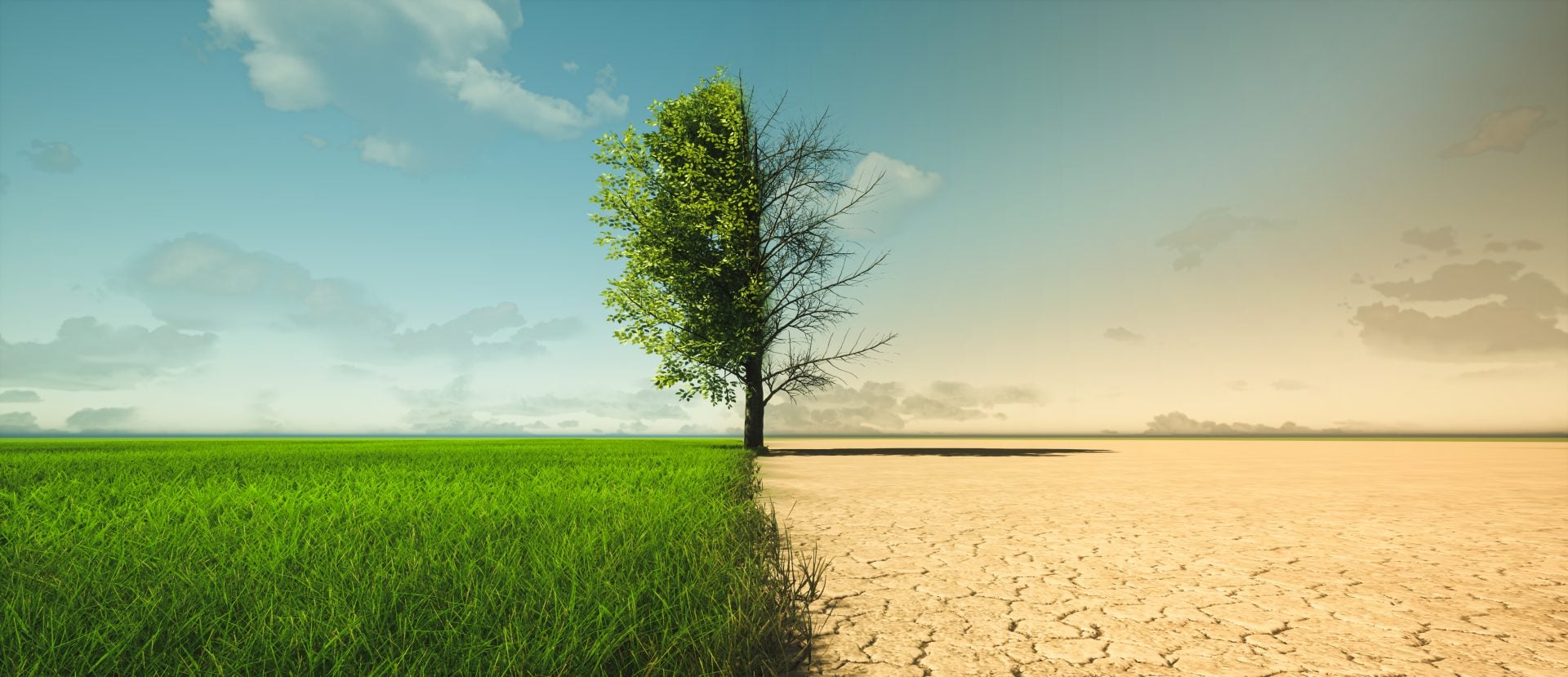 How Climate Change Affects Water Quality & Health | Allianz