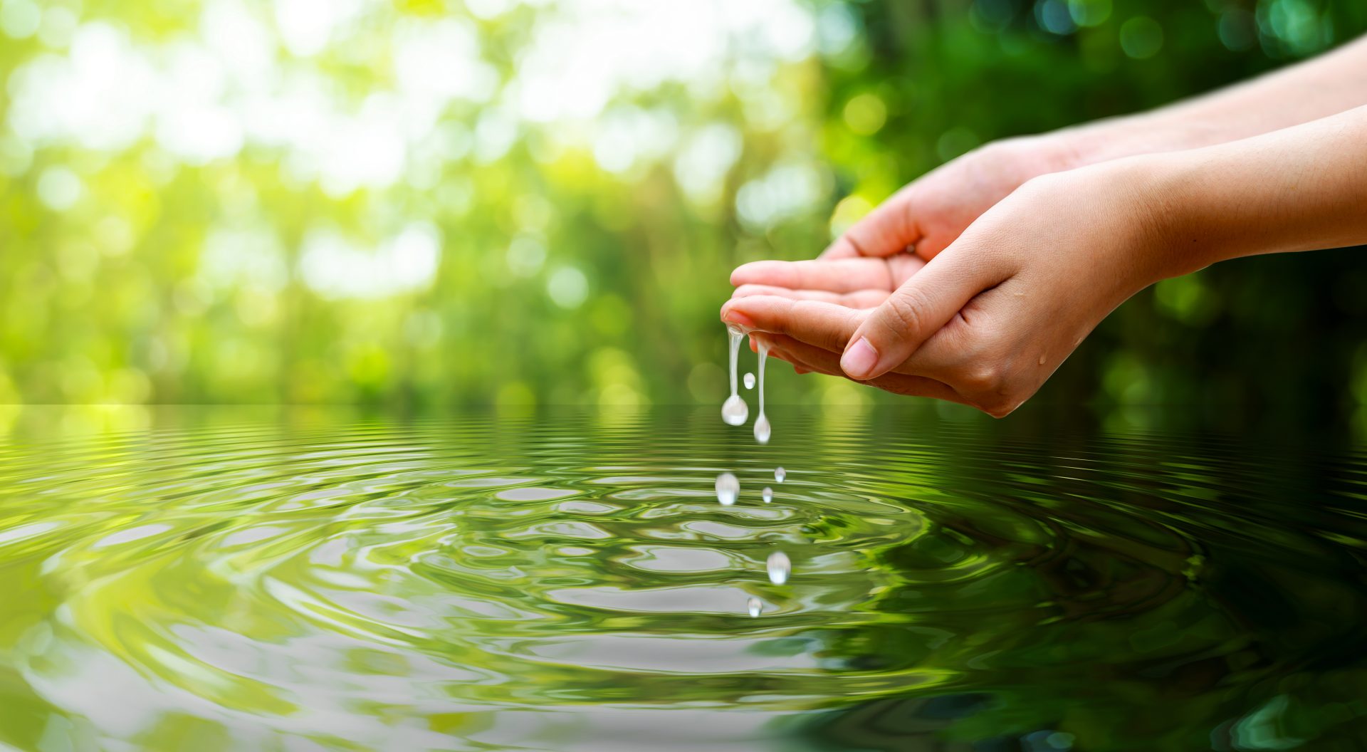 Top Water Conservation Tips for Urban SMEs | Allianz